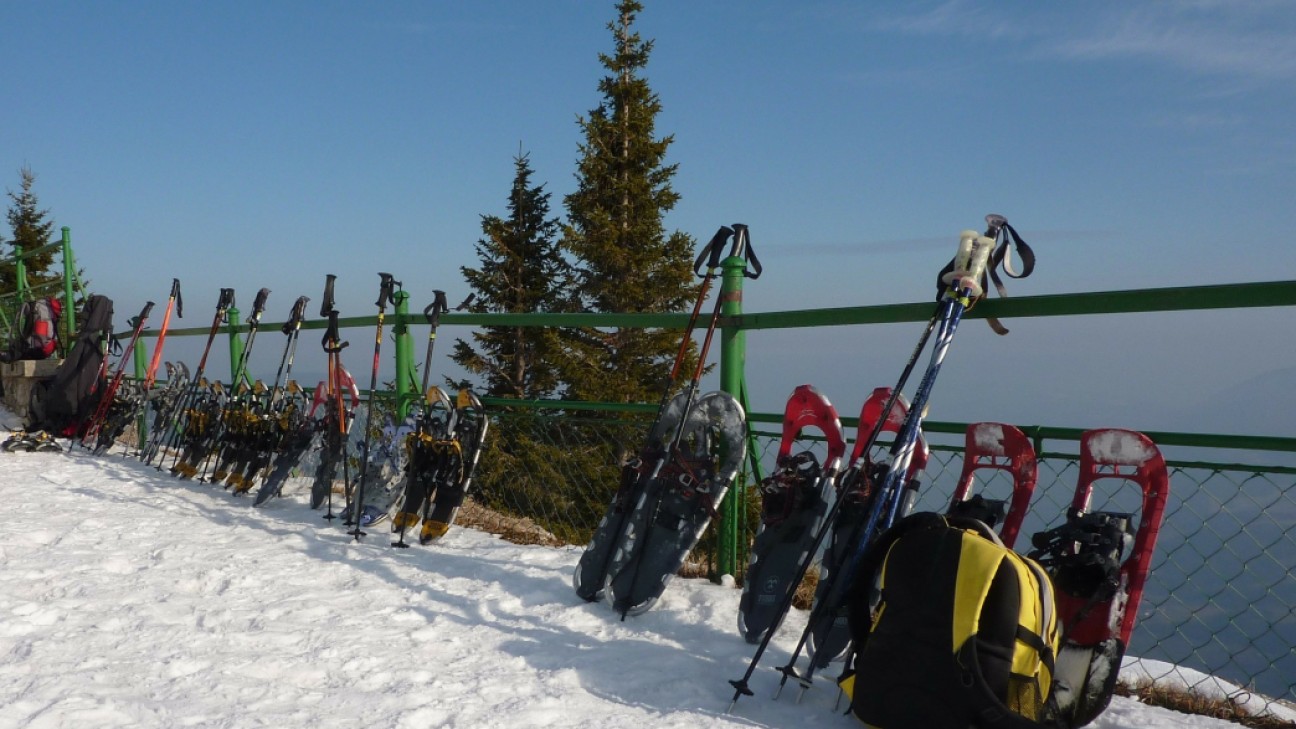 9 Perfect Places to Snowshoe Near Seattle this Winter